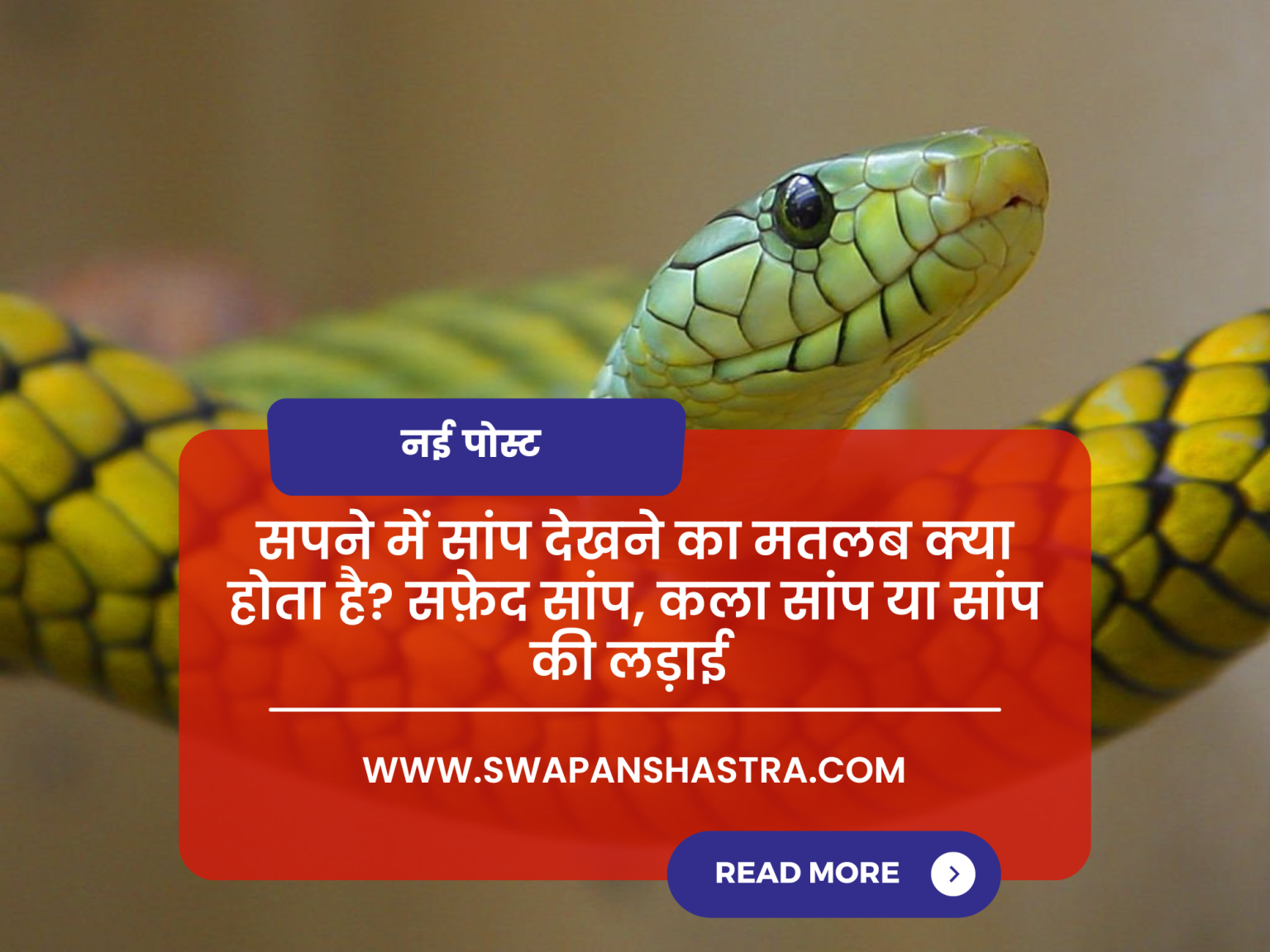 सपने में सांप देखने का मतलब क्या होता है सफ़ेद सांप कला सांप या सांप की लड़ाई स्वप्न शास्त्र