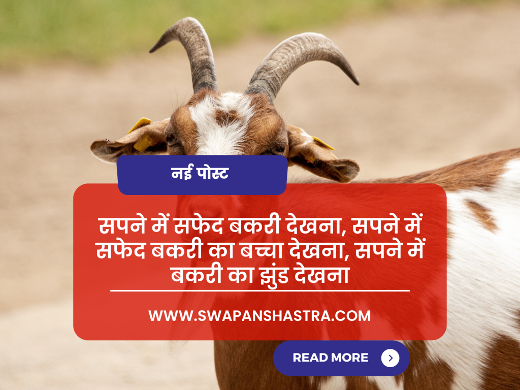 सपने में सफेद बकरी देखना सपने में सफेद बकरी का बच्चा देखना सपने में